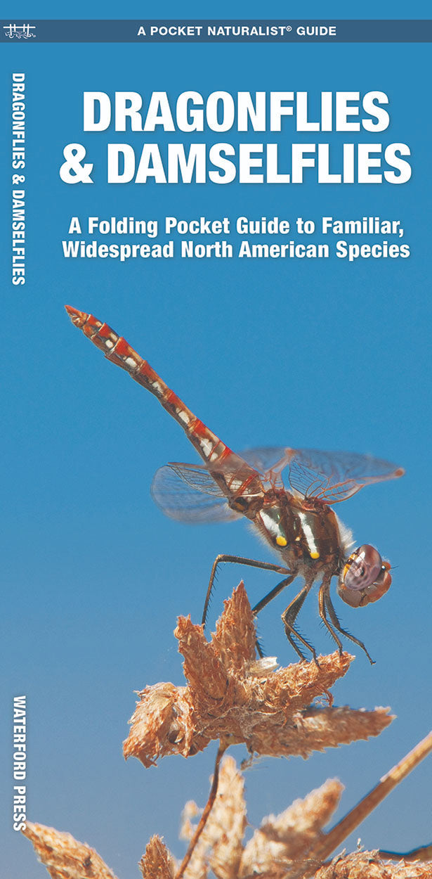 Dragonflies & Damselflies – Backyard Nature Products
