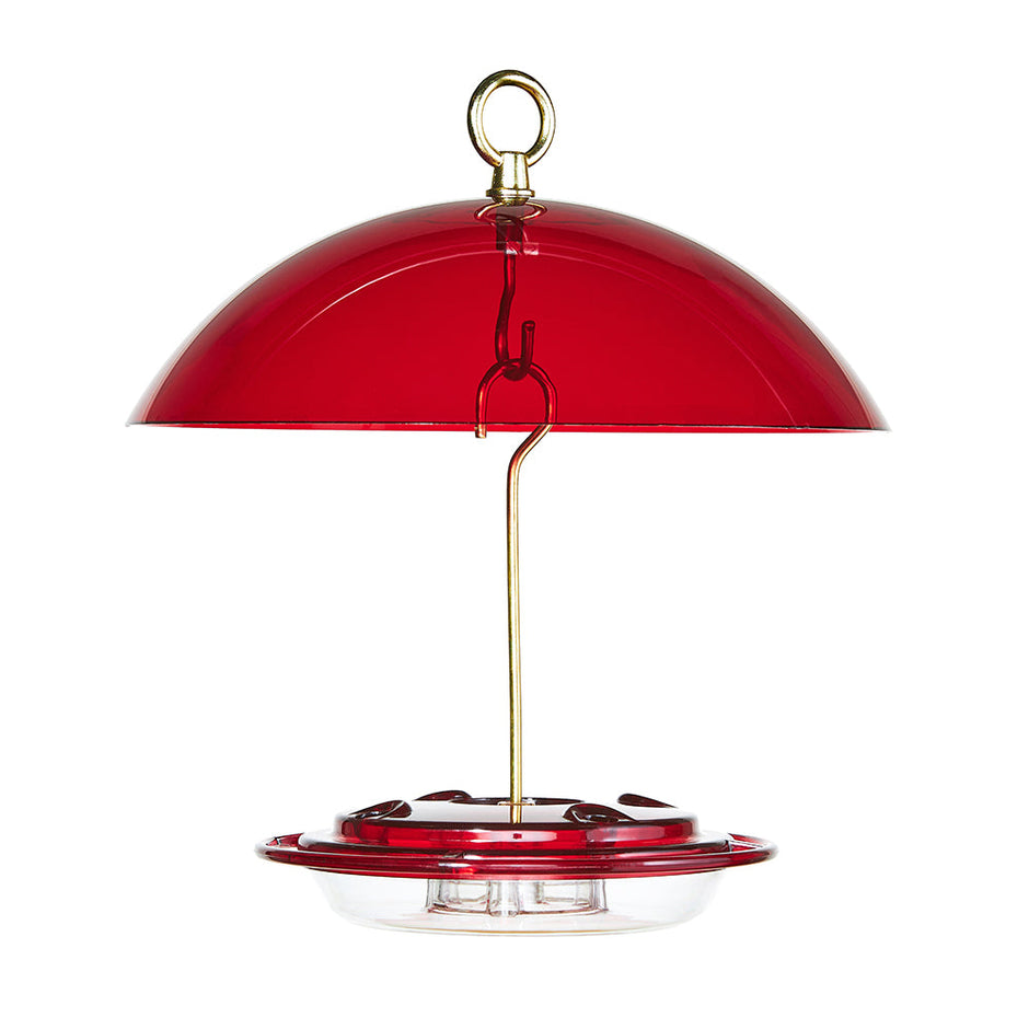 Hummingbird Feeders – Backyard Nature Products