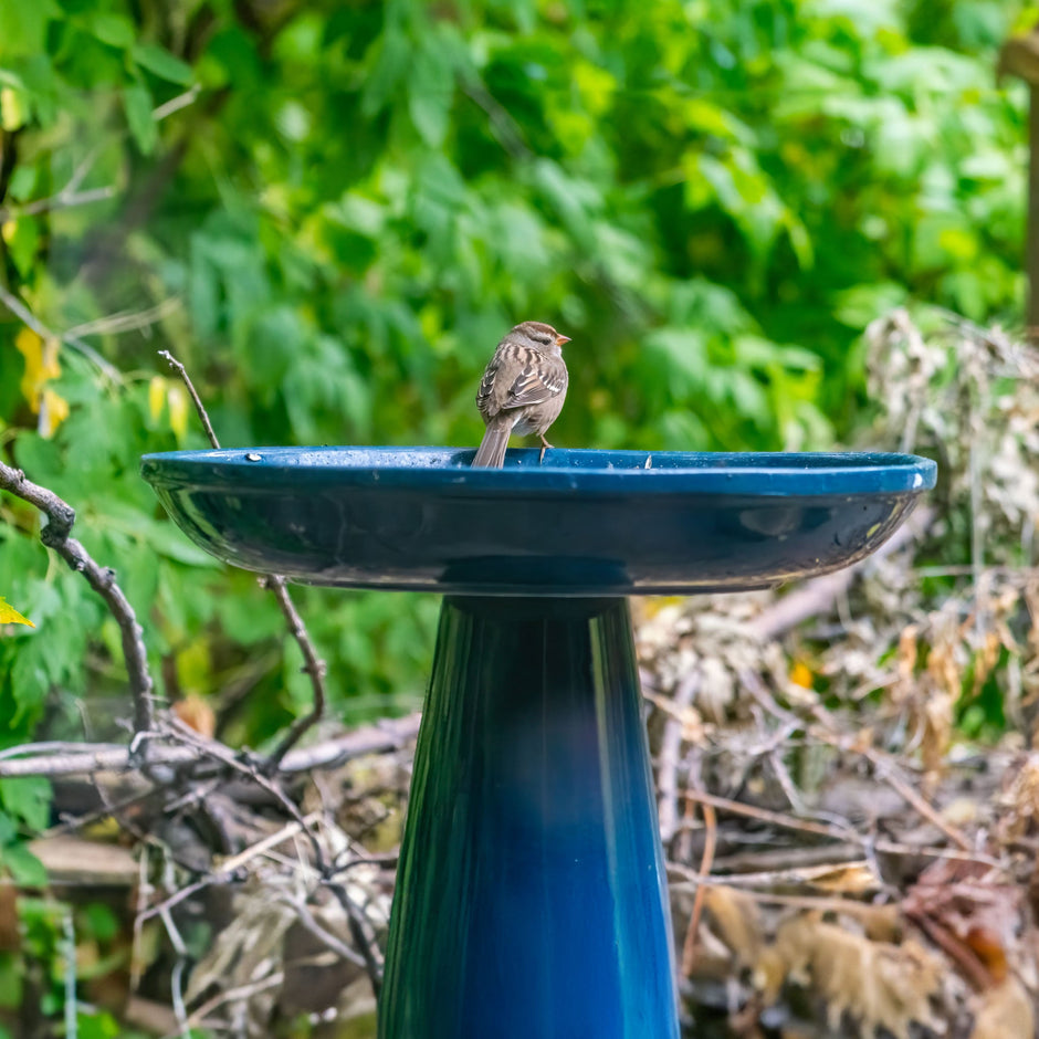 Bird Baths – Backyard Nature Products